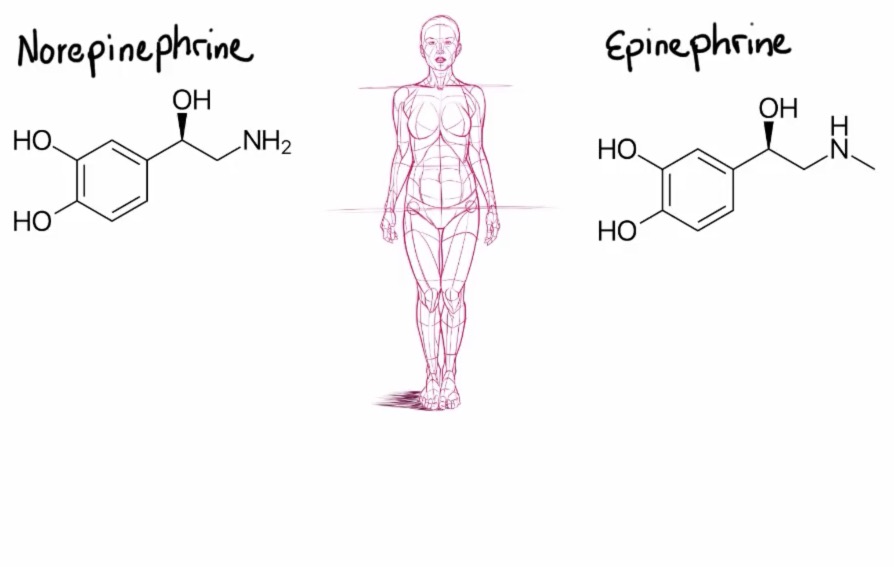 Norepinephrine And Epinephrine Selective Micro Solid Phase Extraction
